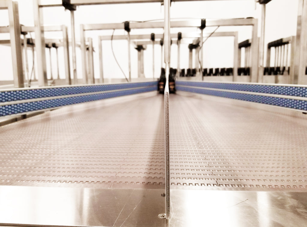 Conveyor Infeed – Bevco Sales International